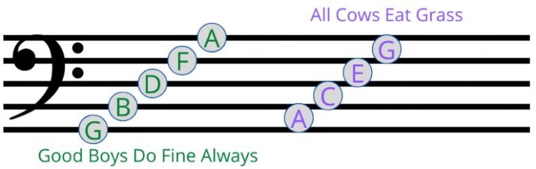 How To READ Sheet Music & Notes: Easy Step-by-Step Instructions