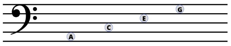 What Are BASS CLEF Notes? How To Use & Draw Them